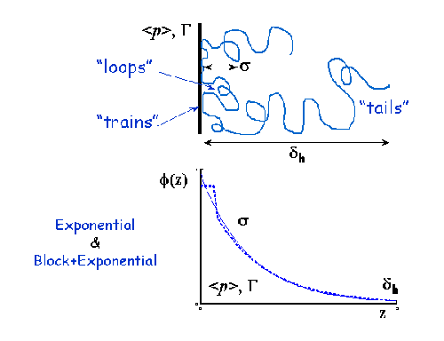 Correlation Function Analysis — Sasview 412 Documentation