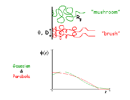 Correlation Function Analysis — Sasview 422 Documentation